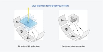 What is the difference between cryo-EM and cryo-ET?